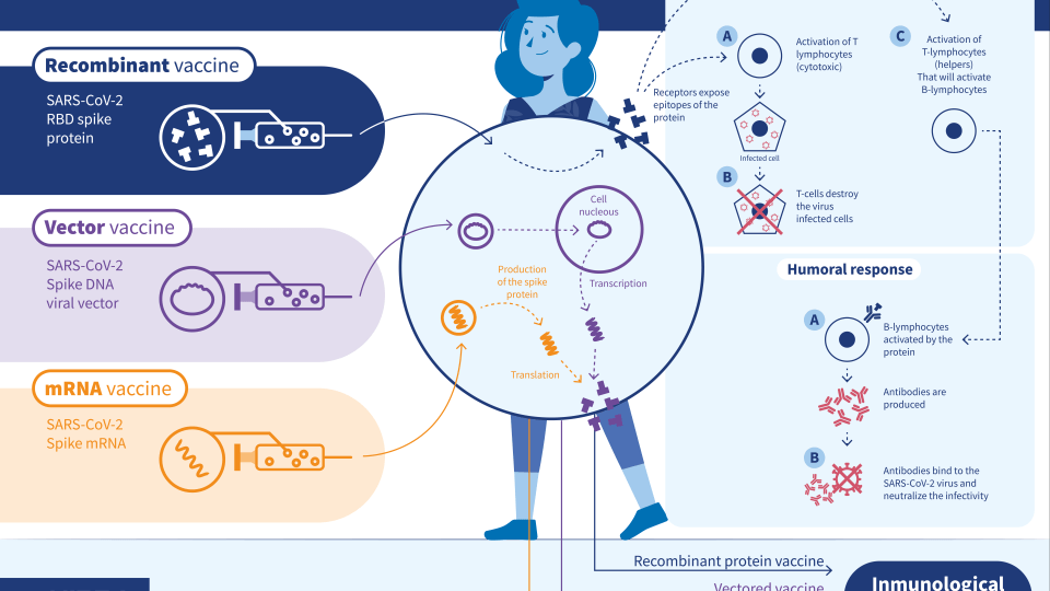 ¿Cómo funcionan las vacunas contra la COVID-19? | HIPRA
